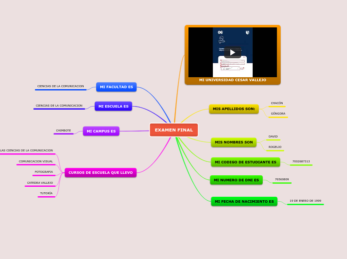 EXAMEN FINAL - Mind Map